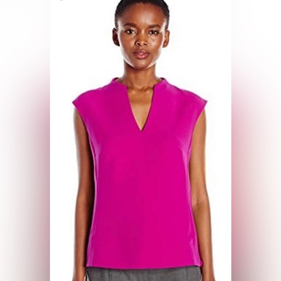 Ted Baker | Tops | Ted Baker Paysy Panel Neck Top | Poshmark